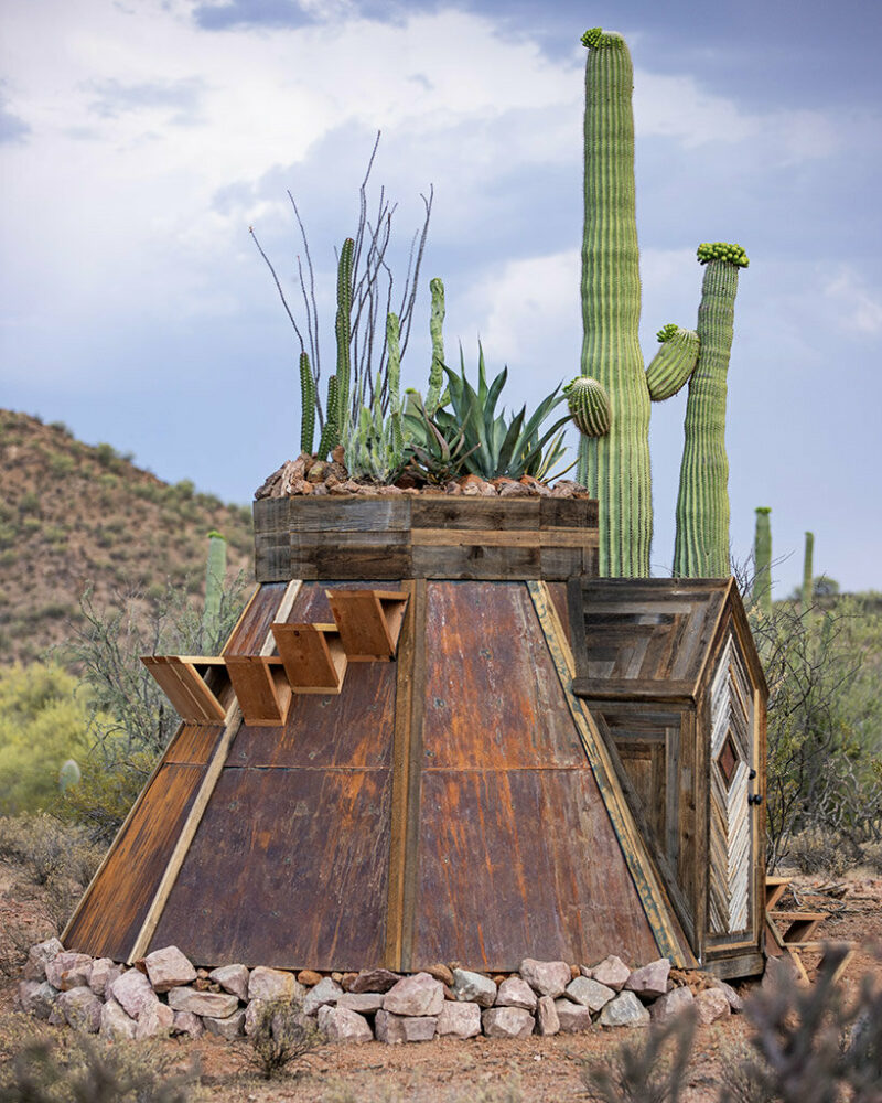 repurposed steel and saguaro bones shapes sonoran desert cabin