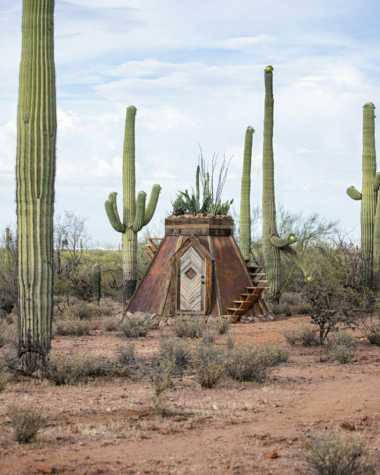 repurposed steel and saguaro bones shapes sonoran desert cabin