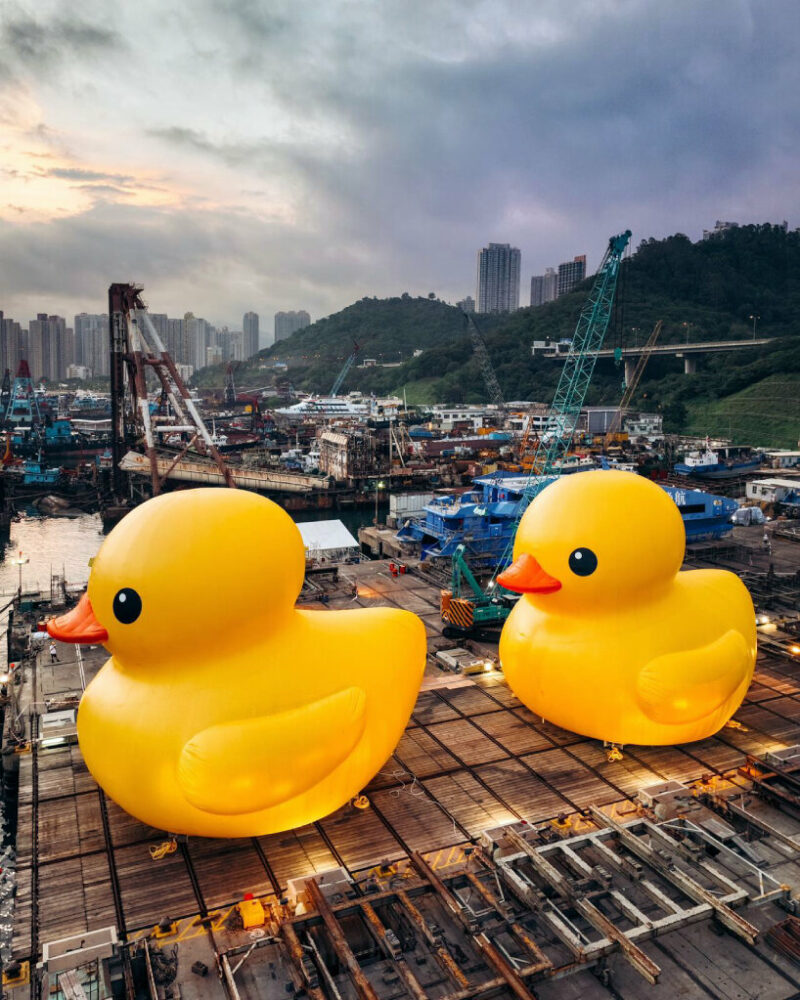 florentijn hofman's inflatable rubber duck gets an identical twin for ...