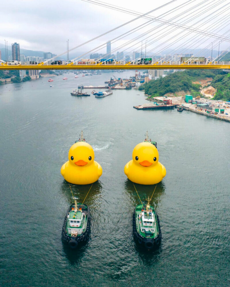 florentijn hofman's inflatable rubber duck gets an identical twin for ...