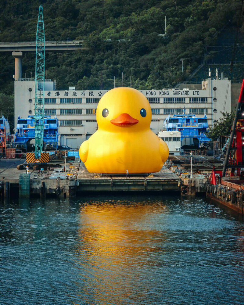 florentijn hofman's inflatable rubber duck gets an identical twin for ...
