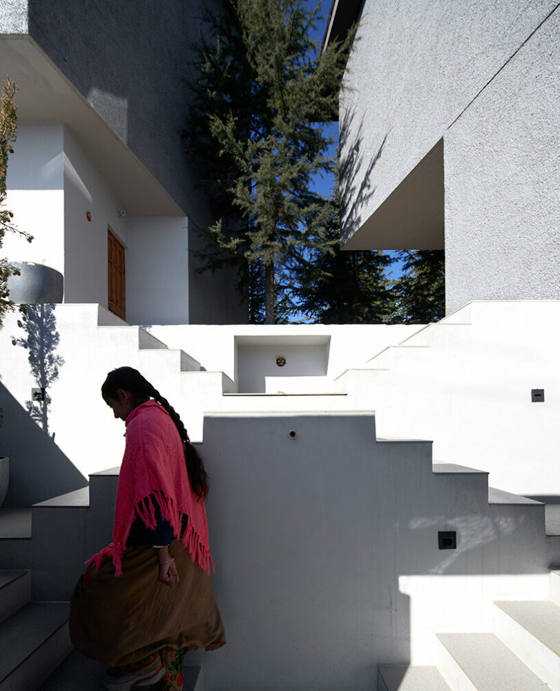 under mango tree's jagged roof choreographs rainwater flow in western ...