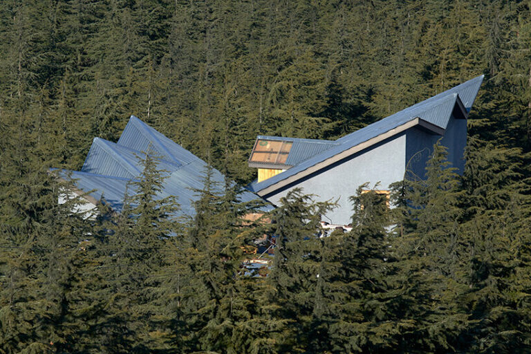 under mango tree's jagged roof choreographs rainwater flow in western ...