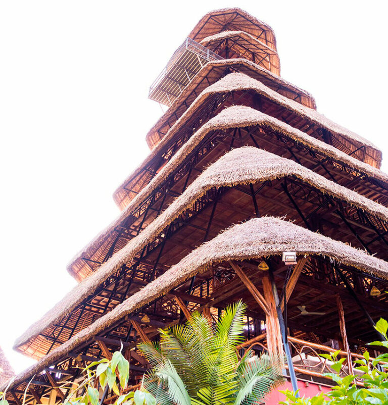 seven palm weaved roofs compose napo wildlife center tower in ecuador