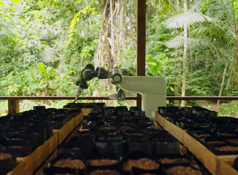 remotely operated robot helps restore amazon rainforest by planting ...
