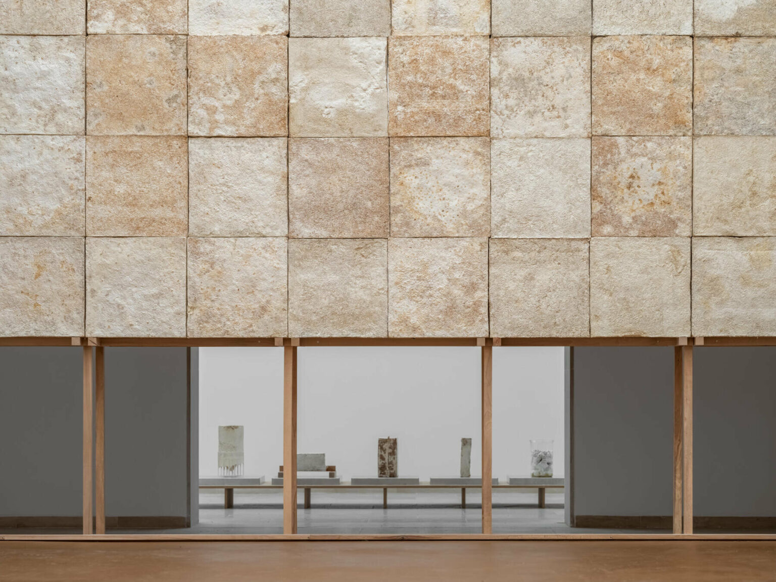 exploring the potential of mycelium in architecture