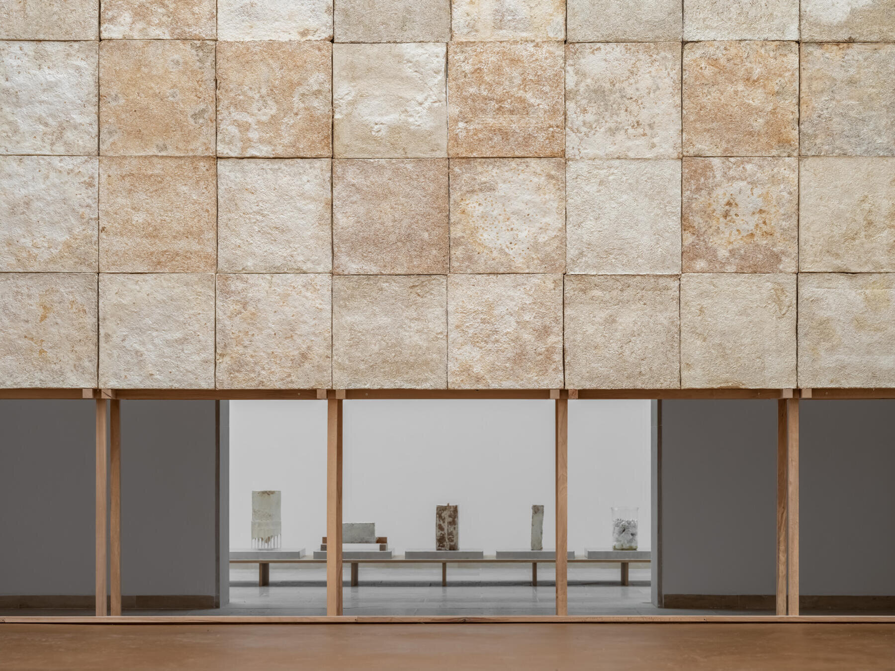 exploring the potential of mycelium in architecture