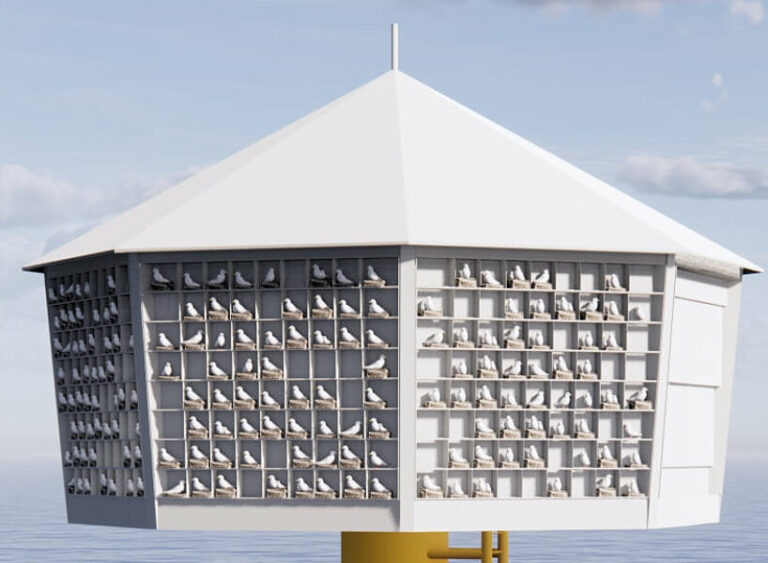 artificial nests on wind farm provide home to endangered birds ...