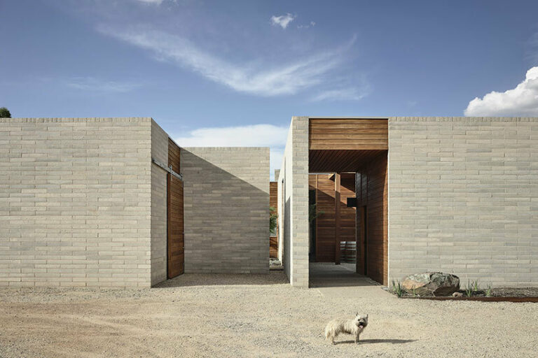 cellar door: delatite's sustainable wine haven in rural australia