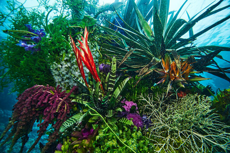 azuma makoto's floral installation blooms in japan's uncharted water