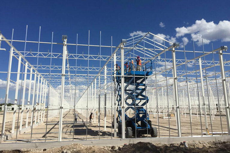 saudi desert city NEOM will grow crops inside dutch greenhouses