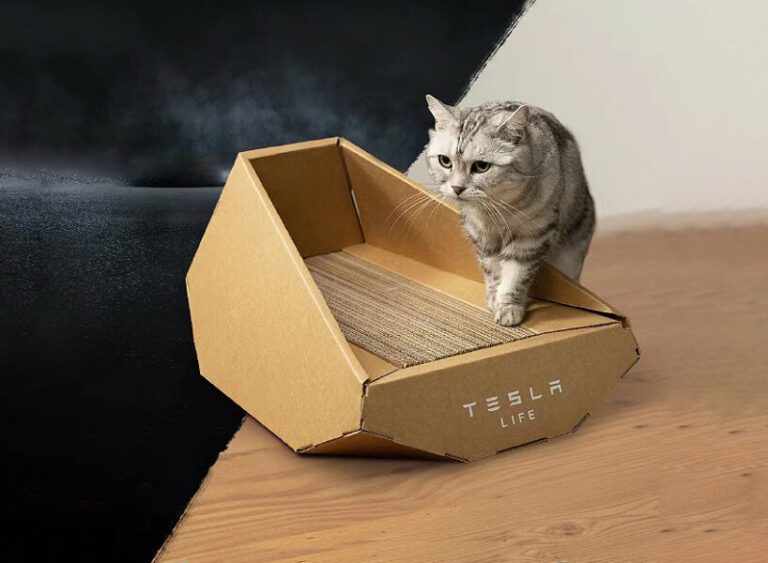 cats get their own tesla cybertruck ahead of the real car's production