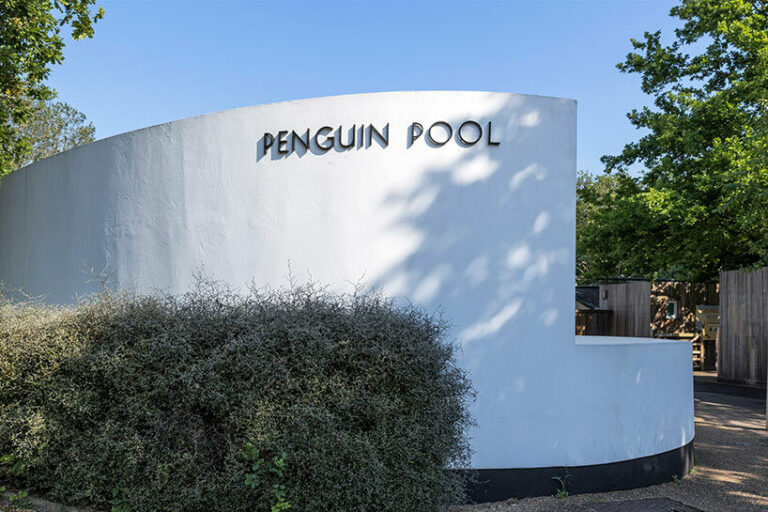 danica o. kus captures the modernist penguin pool in london zoo