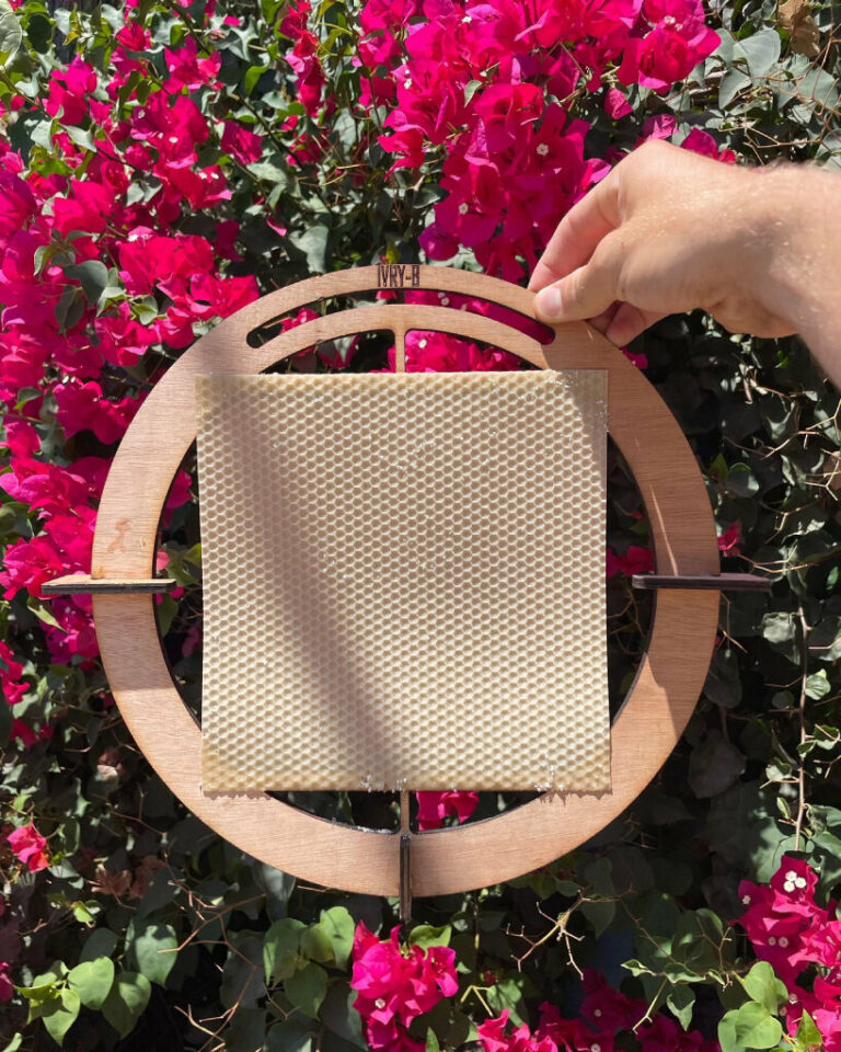transparent and round beehive lets keepers see the bees and collect honey using a drawer