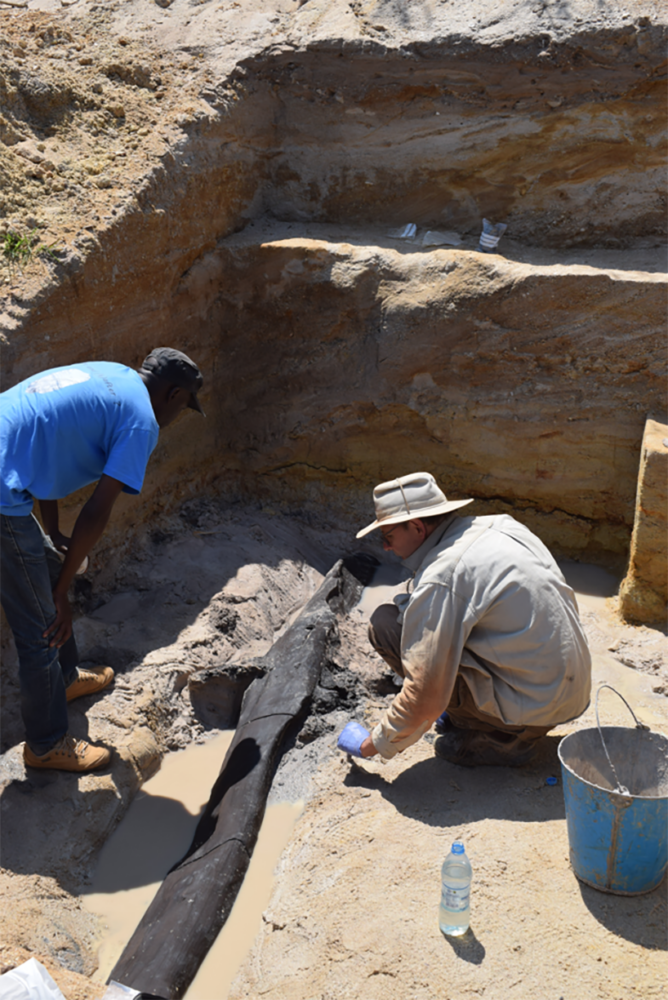 archaeologists discover world’s oldest wooden structure in zambia