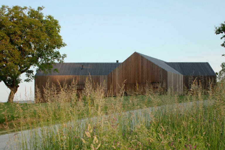 two intersecting saddle roofs shield DMAA's house f in slovenia