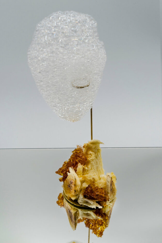 from edible clouds to mussel-derived ceramics, plat institute ...