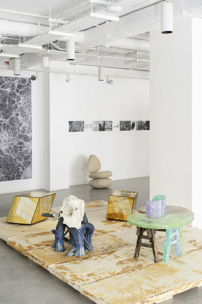 gallery FUMI marks 15 years of disruptive design with major show