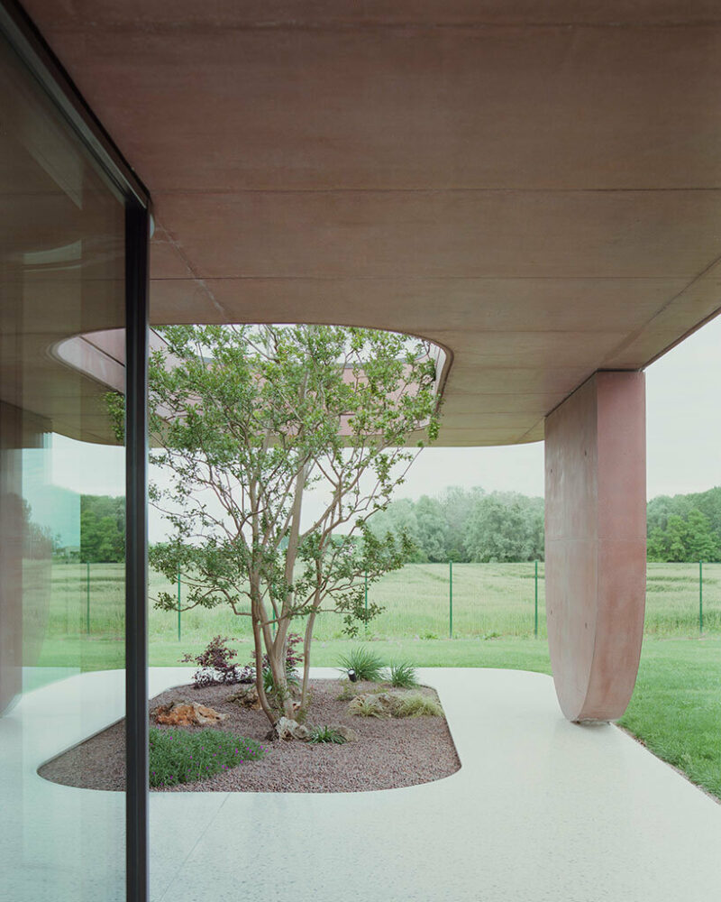 MIDE architetti's pink concrete residence curves around lush vegetation ...