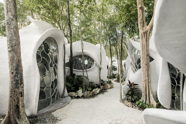 roth architecture brings its innovation & tech lab to mexican jungle