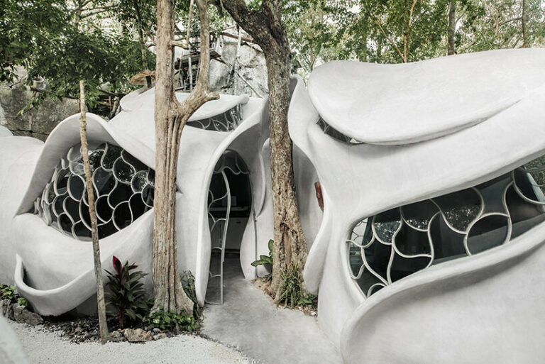 roth architecture brings its innovation & tech lab to mexican jungle