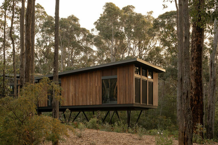 spotted gum-clad 'treehouse' floats among australian woods