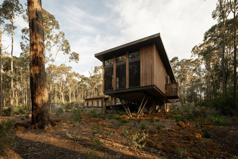 spotted gum-clad 'treehouse' floats among australian woods