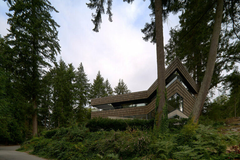 triangular pool juts out from the phoenix house celebrating the ...