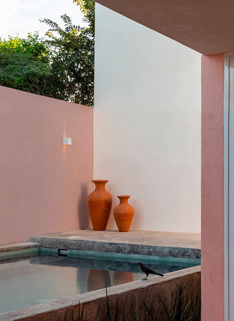 casa banderas' pink-hued sculptural wall emerges in mexico