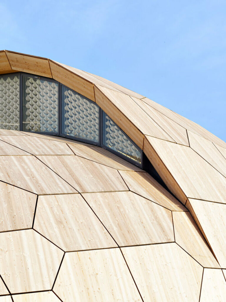 livMatS biomimetic timber shell at freiburg university follows a sea ...