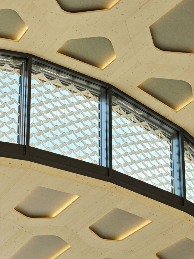 livMatS biomimetic timber shell at freiburg university follows a sea ...