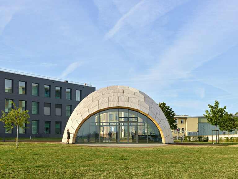 livMatS biomimetic timber shell at freiburg university follows a sea ...