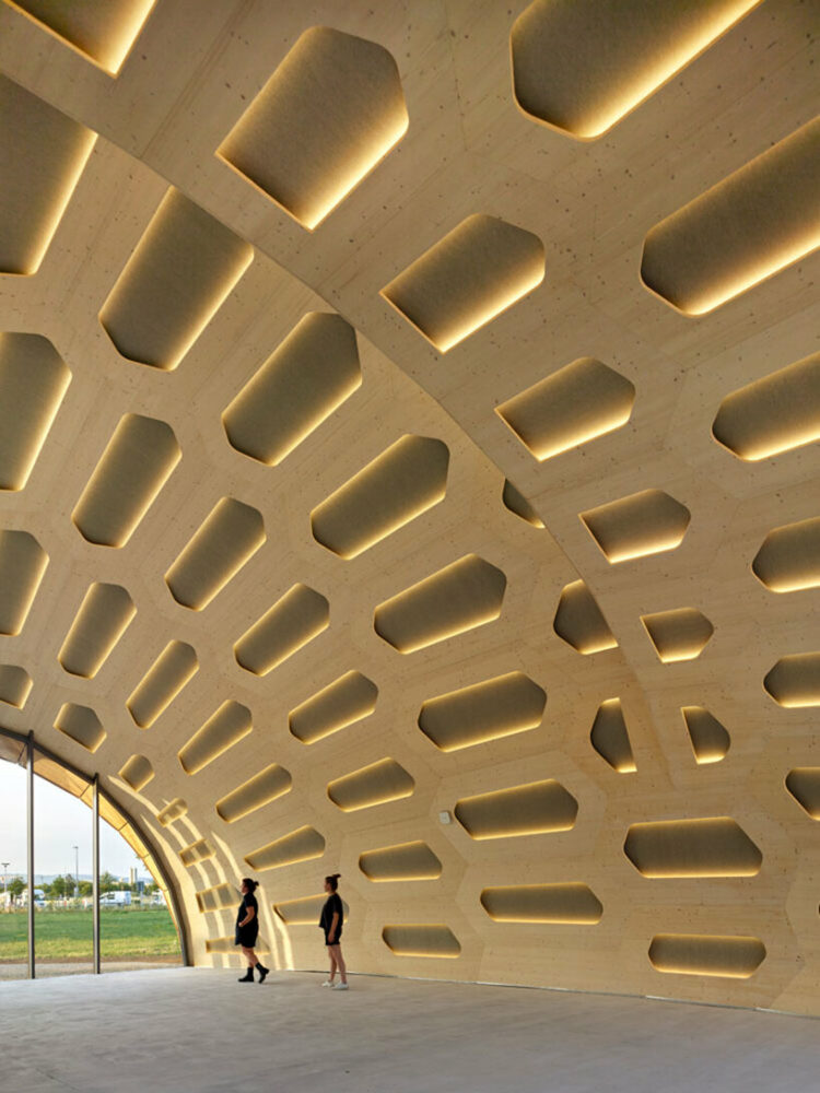 livMatS biomimetic timber shell at freiburg university follows a sea ...