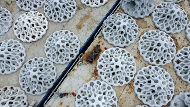 reef design lab plants concrete with recycled shells in water to save ...