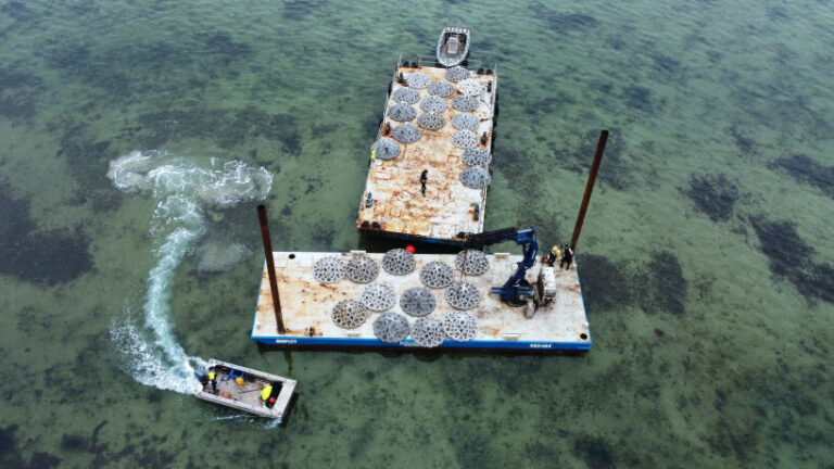 reef design lab plants concrete with recycled shells in water to save ...