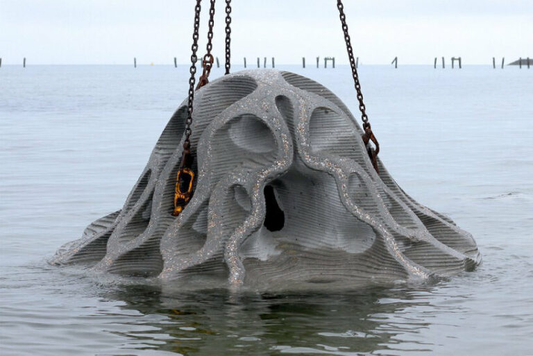 reef design lab plants concrete with recycled shells in water to save ...