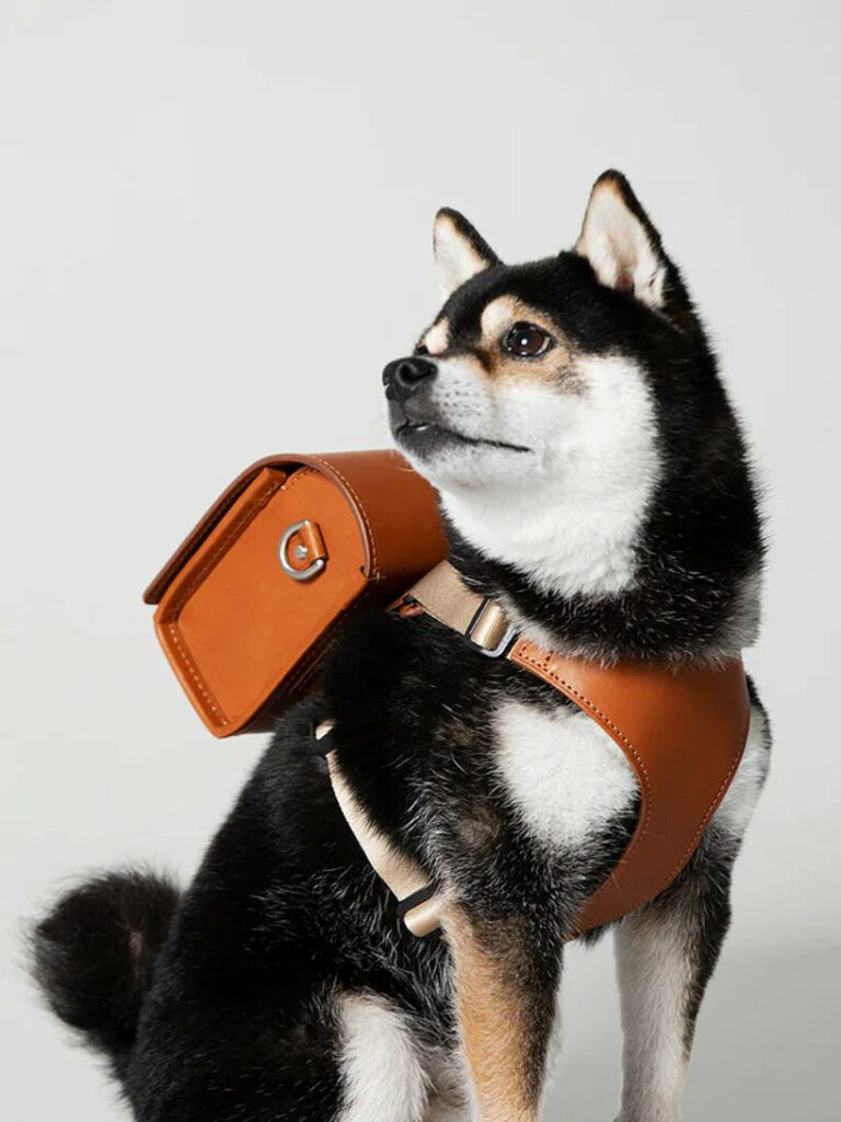 tsuchiya kaban designs leather backpack for dogs so they can carry their own treats and toys