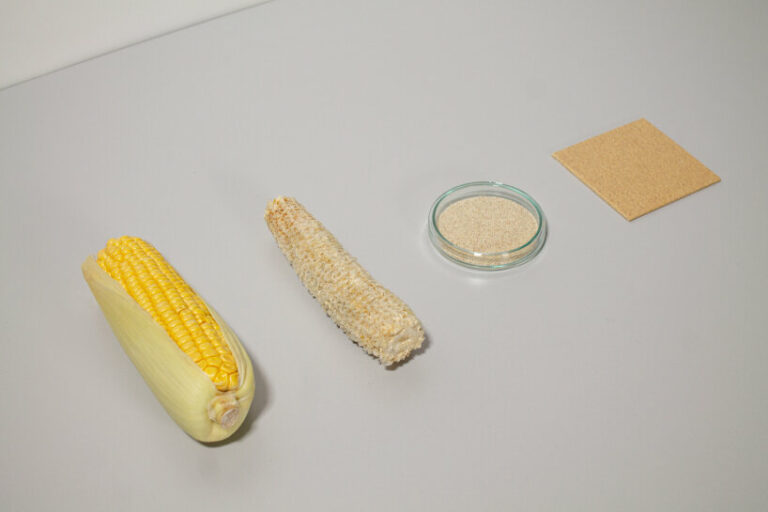 biobased walls made from corn cobs are recyclable and biodegradable at ...