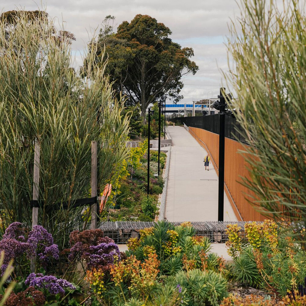 HASSELL on 'designing linear infrastructure in a non-linear world'