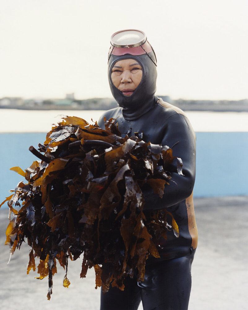 the last mermaid by peter ash lee is a tribute to jeju's fearless ...