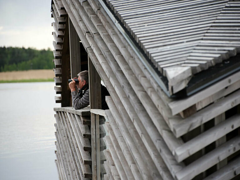 studio puisto designs floating timber hut for birdwatchers in finland
