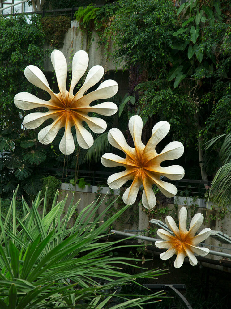intricate organic sculptures by ranjani shettar weave into the barbican ...