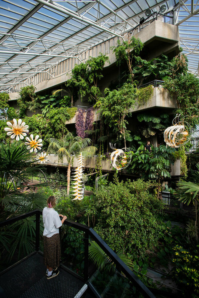 intricate organic sculptures by ranjani shettar weave into the barbican ...