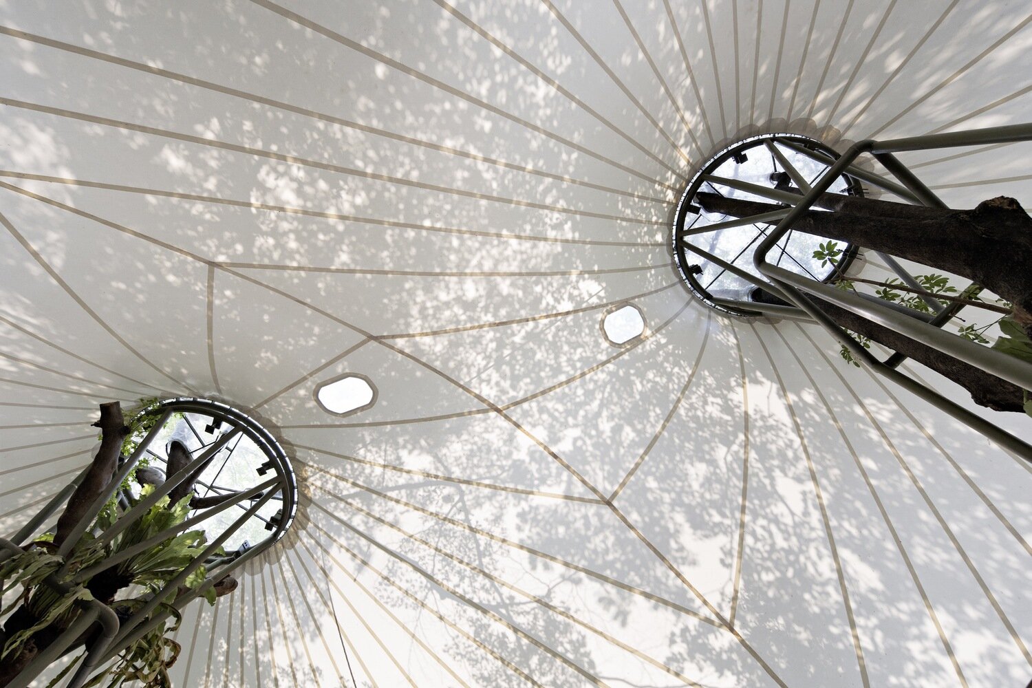 parametric structure forms an events space amongst trees in jakarta