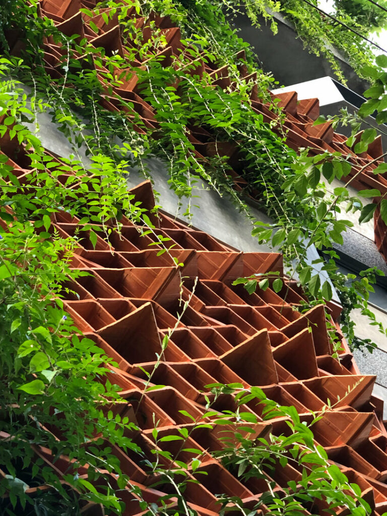 terracotta tile screens clothe residential facade in india with a green ...