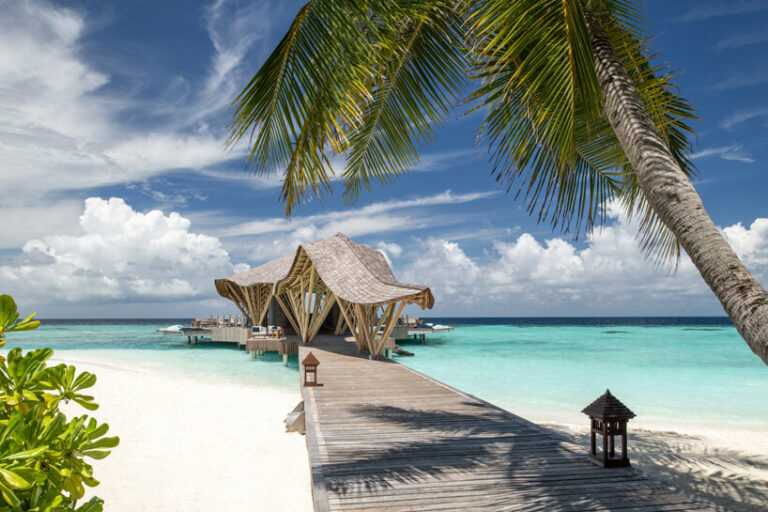 atelier nomadic's overwater restaurant rises like a sea creature in the ...