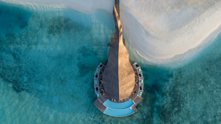 atelier nomadic's overwater restaurant rises like a sea creature in the ...