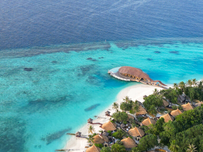 atelier nomadic's overwater restaurant rises like a sea creature in the ...