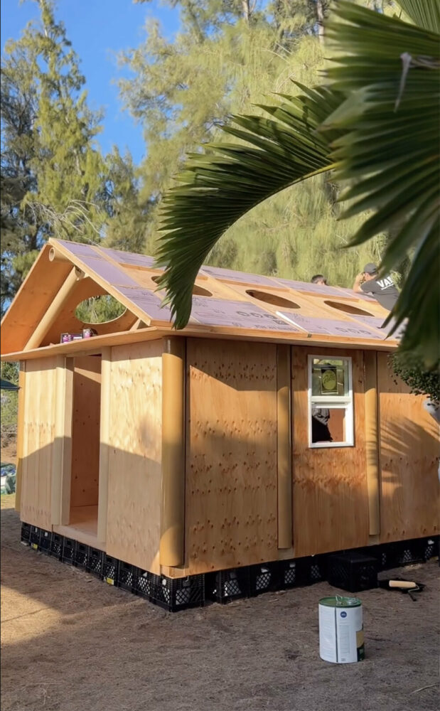 shigeru ban's paper log house lands in maui for wildfire relief