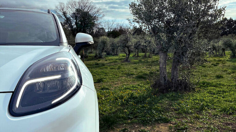 ford makes car parts from olive tree waste and biocomposites to reduce ...